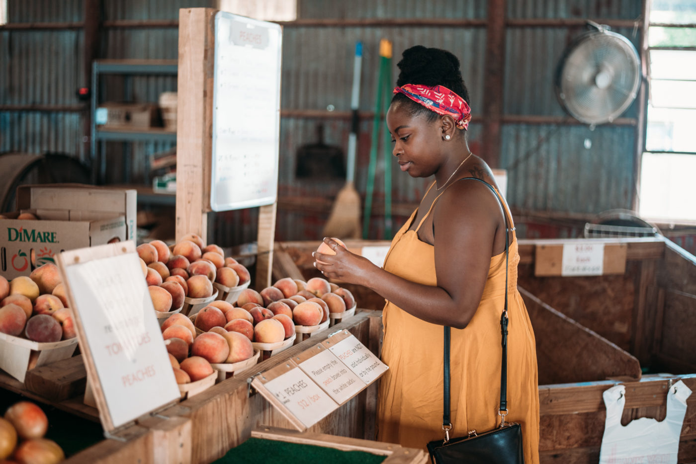 Let’s Talk About Ryan Farms Produce, a Weekday Farmers’ Market in ...