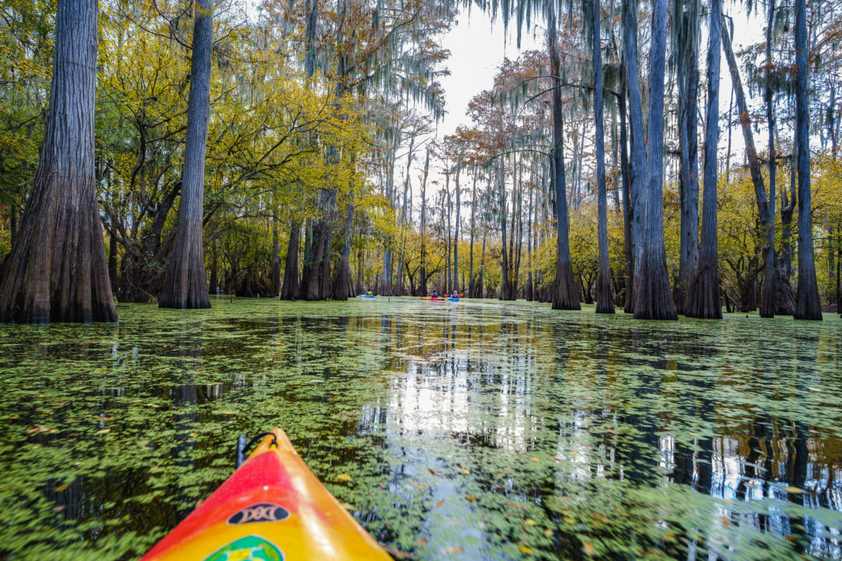 Outdoor Enthusiasts Can Appreciate Kayaking on North Louisiana’s Waters ...